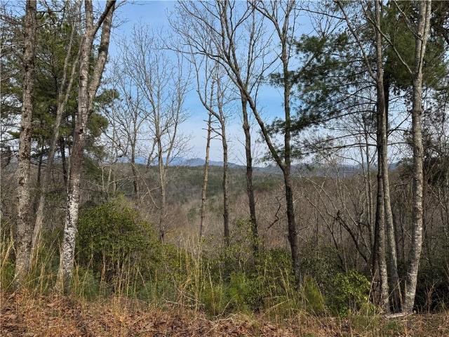 110 Buttercup Way, Sunset, SC 29685 | MLS #20298