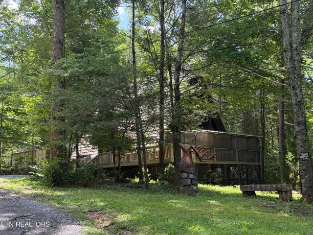 110 Buffalo Springs Way