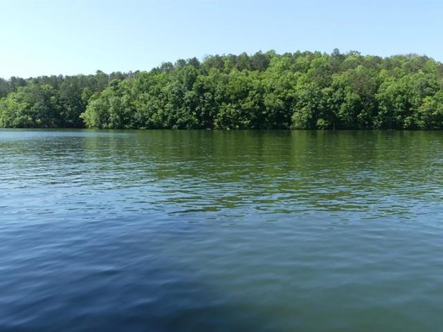 110 Burrell Ln Lot 1, Wedowee, AL 36278