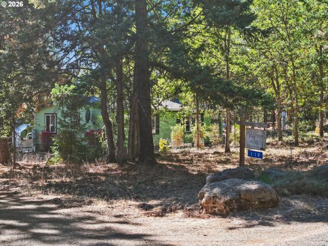 110 goldenpine