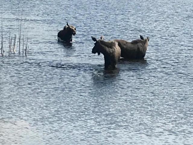 110 Gcr 4933 Grand Lake, Unit 2, Grand Lake, CO 80447 | MLS #26 375