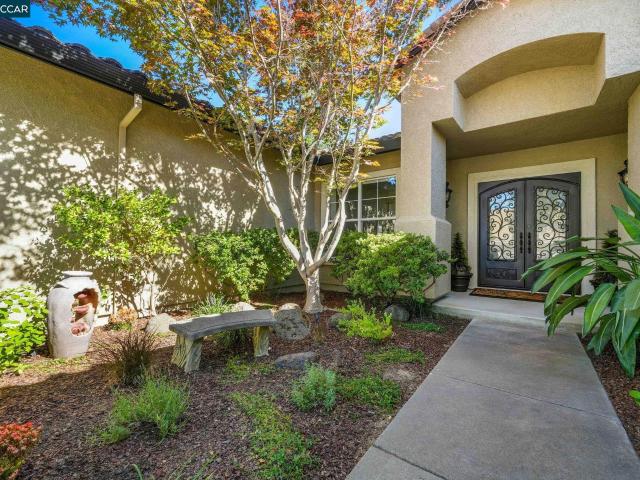 110 Forest Hill Dr