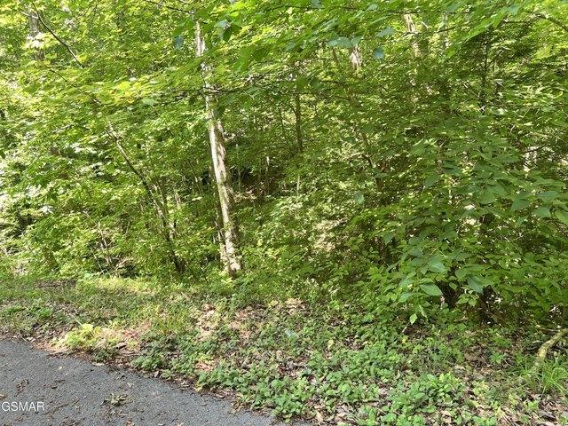 110 Fir Dr, Sevierville, TN 37876