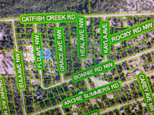 110 Flo Ave NW, Lake Placid, FL 33852