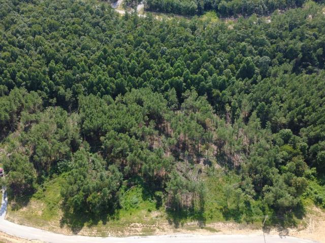 110 Hilltop Dr