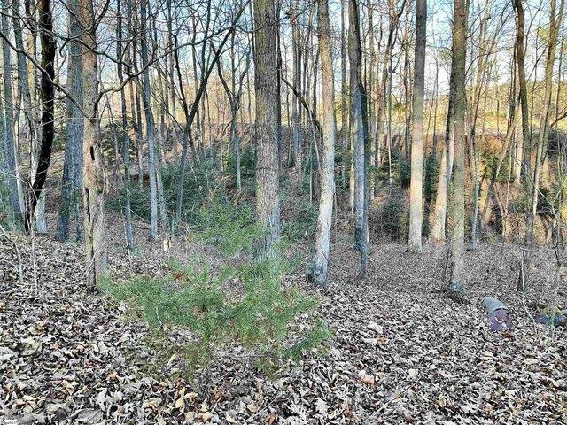 110 Laurel Valley Way, Travelers Rest, SC 29690