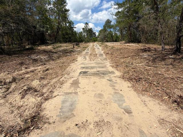 110 Lincoln St, Satsuma, FL 32189 | MLS #2134