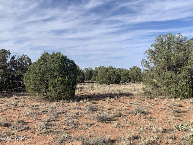 110 Mesa Redondo Ranch Rd, Concho, AZ 85924