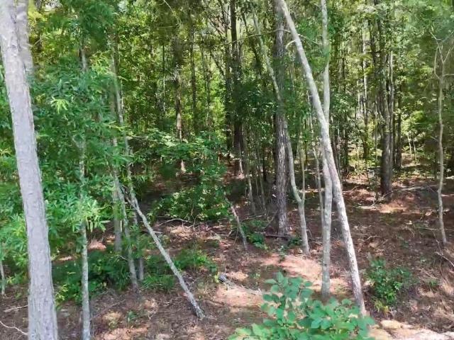 110 N North Martintown Road