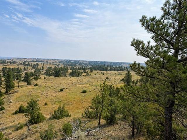 110 Snowflake Rd, Roundup, MT 59072