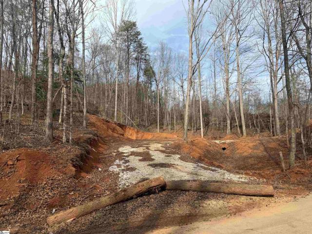 110 sawmill rd, unit 10 sawblade ridge address was changed recently, Marietta, SC 29661 | MLS #1580