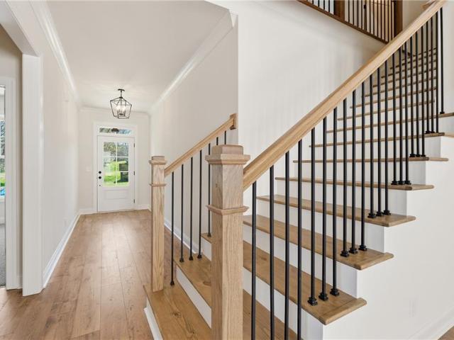 110 poplar