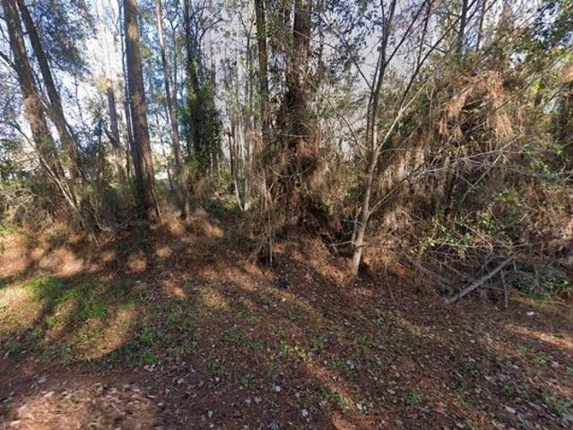 110 Pamela Dr, Satsuma, FL 32189