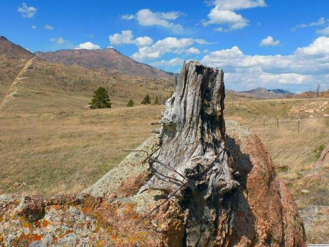 110 Parker Homestead Rd, Wheatland, WY 82201