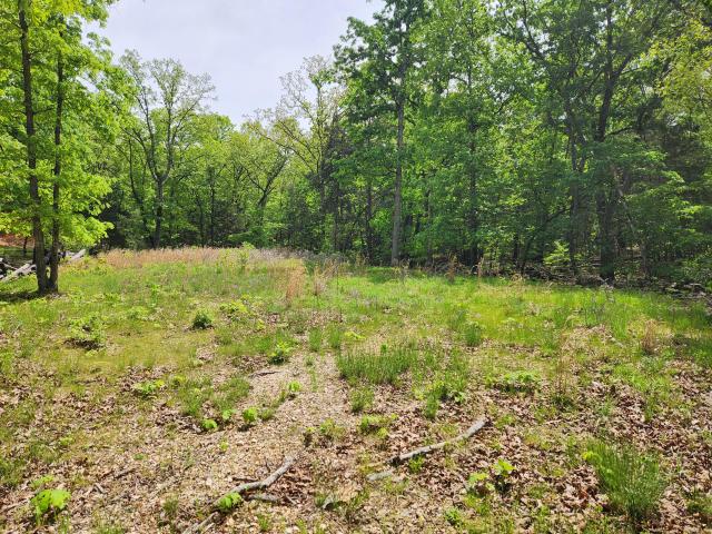 110 Tierra Trail