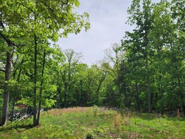 110 Tierra Trl, Lampe, MO 65681