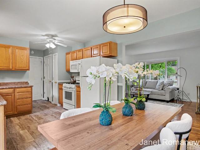 11141 Woodbushe Drive