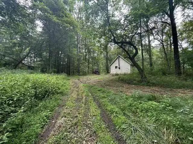 11150 W DR N, BELLEVUE, MI 49021 Vacant Land For Sale MLS# 24.