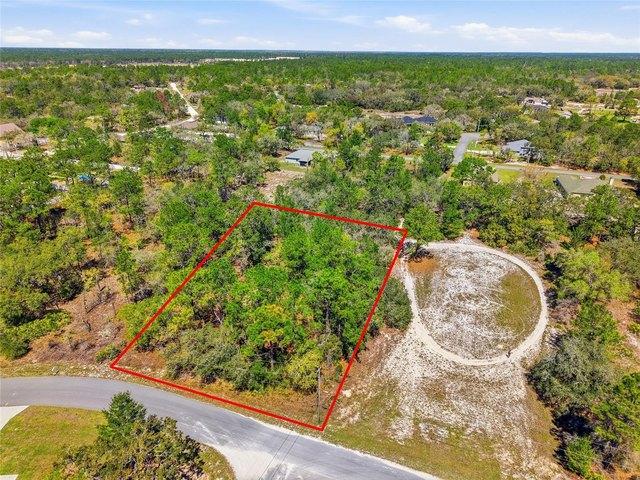 11155 Marsh Wren Ave, Weeki Wachee, FL 34614
