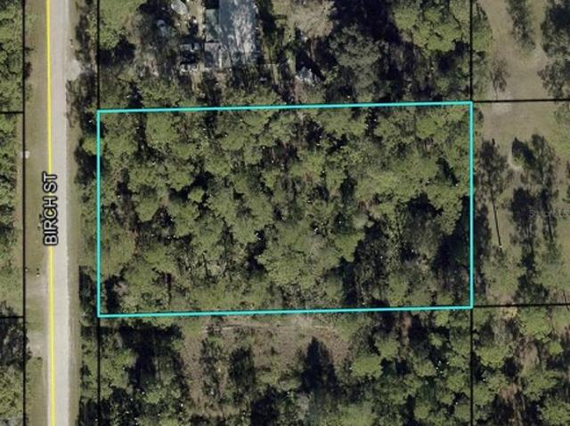 1115 Birch St, Bunnell, FL 32110