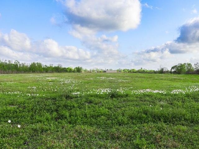 1115 E FM 1462 Rd, Rosharon, TX 77583