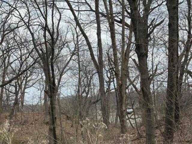 1115 W 4th St, Hobart, IN 46342
