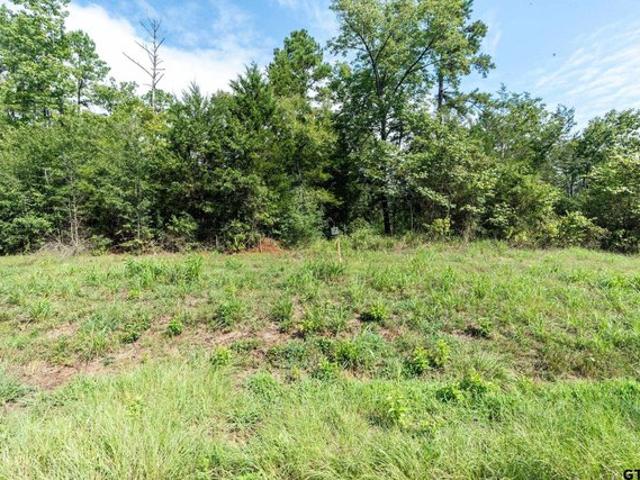 11163 Moser Ln, Whitehouse, TX 75791