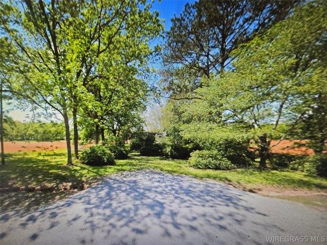 11166 Luverne Hwy, Greenville, AL 36037