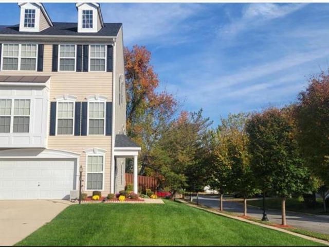 1116 Ring Bill Loop
