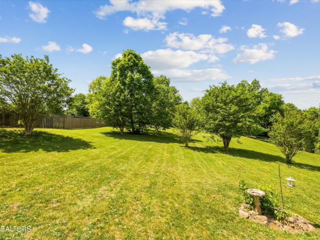 1117 Amber Glades Lane