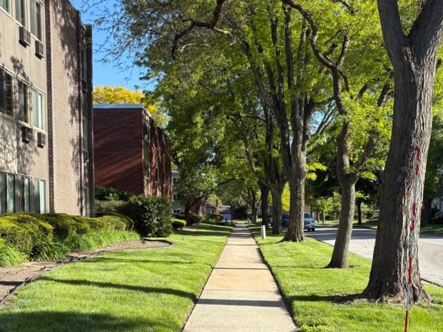 1117 Leavitt Avenue # 108