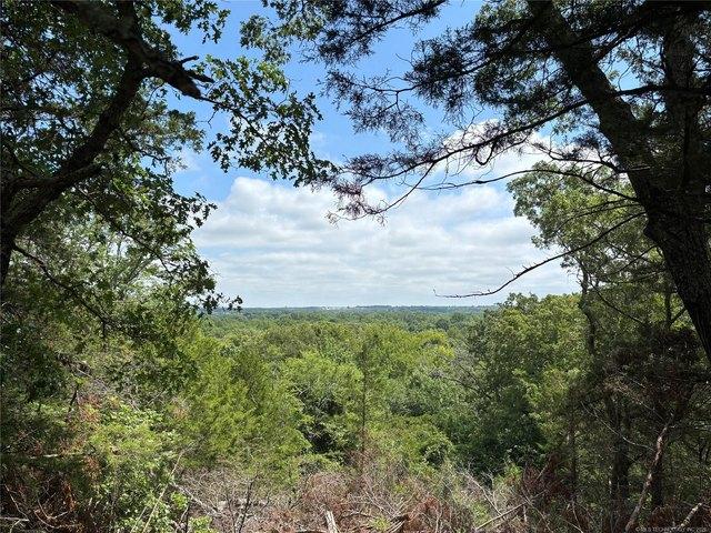 11185 E Gray Hl, Milburn, OK 73450