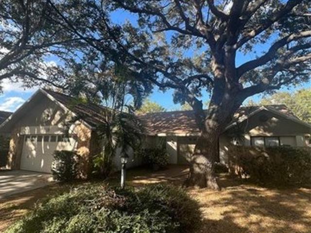 1118 Bramblewood Dr, Safety Harbor, FL 34695