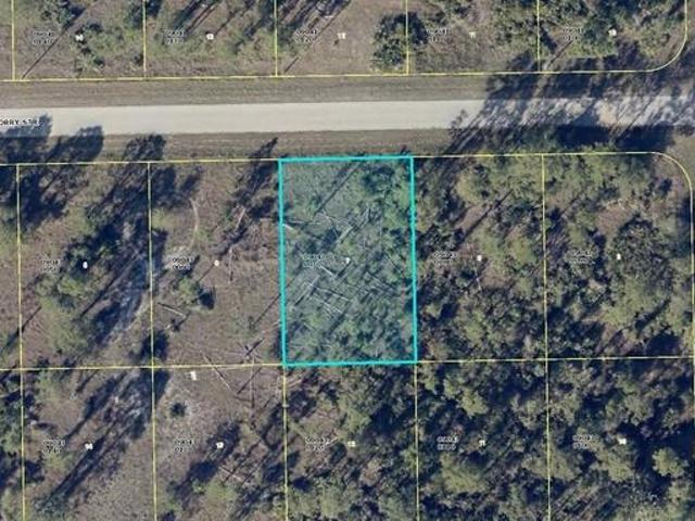 1118 Corry St E, Lehigh Acres, FL 33974 MLS 224023914