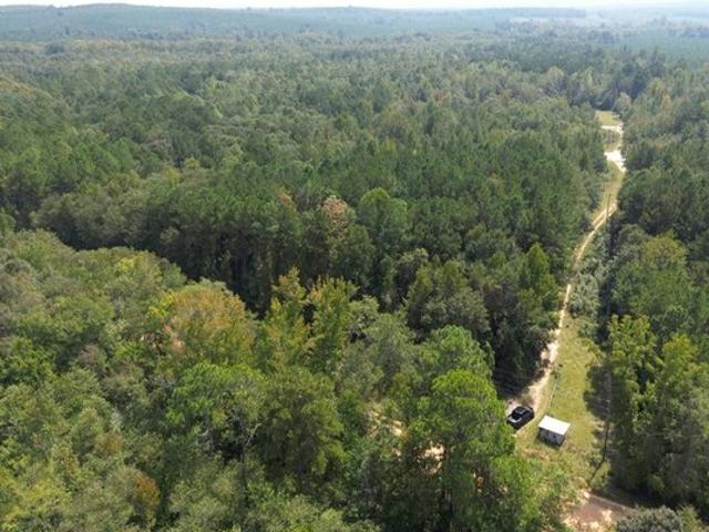 1119 Asbury Church Rd, Irwinton, GA 31042