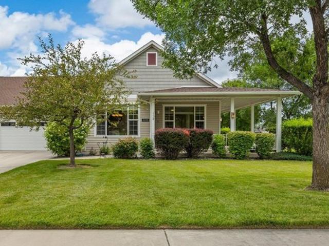 1119 Daisy Ln, Fruita, CO 81521