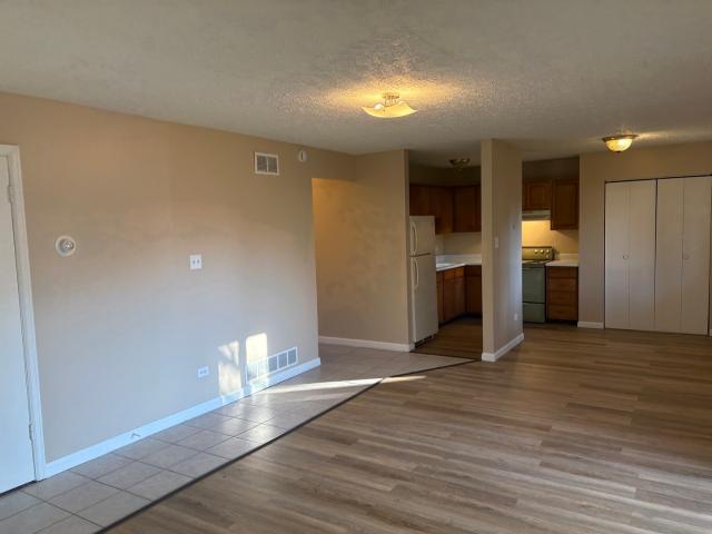 1119 S Curtis Ave, Unit A1, Kankakee, IL 60901 | MLS #12515