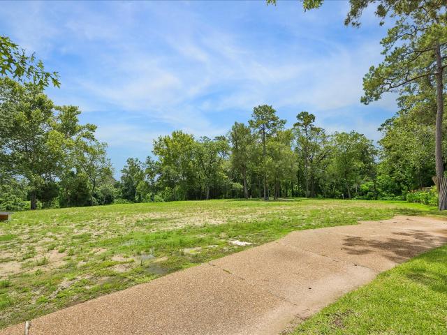 11103 Meadowick Dr, Houston, TX 77024 | MLS #85253