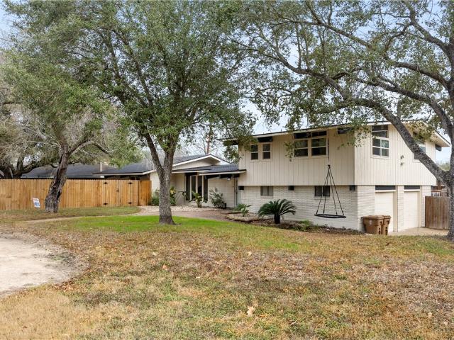 11102 Birdwood