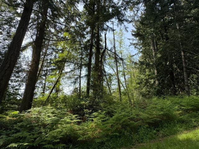 11106 Spruce Dr, Anderson Island, WA 98303 | MLS #2367 | Compass