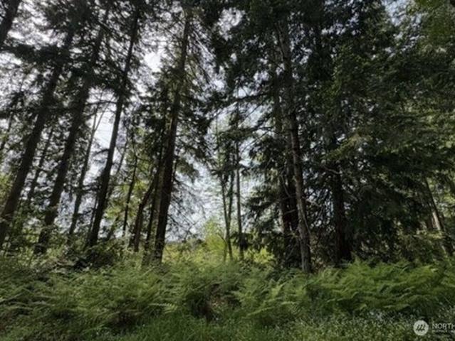 11106 Spruce Dr, Anderson Island, WA 98303