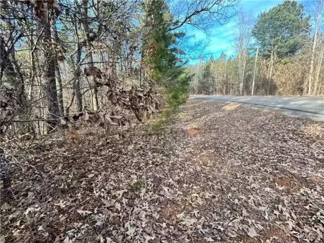 11109 TURNER RD, TUSCALOOSA, AL 35406 Vacant Land For Sale ML.