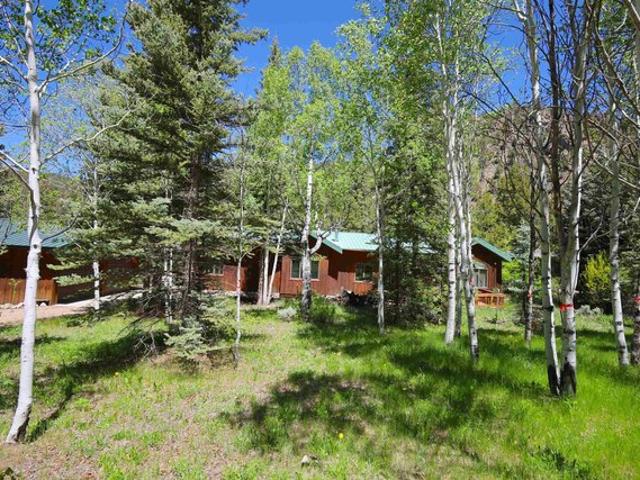 11109 County Road 742, Almont, CO 81210