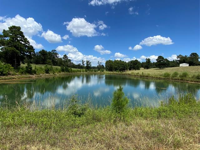 11109 County Road 207