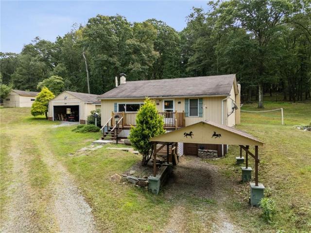 1110 Ross Mountain Park Rd, New Florence, PA 15944 | MLS #1717