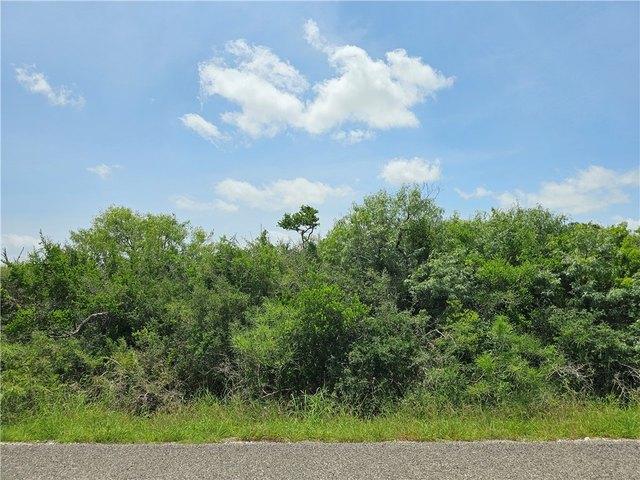 1110 Second St Lot 13, Bayside, TX 78340
