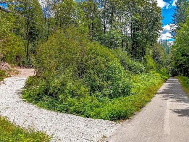 1110 th Ave SE Lot 4, Snoqualmie, WA 98065