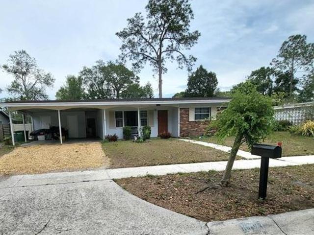 11113 N 20th St, Tampa, FL 33612