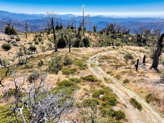 11111 Lower Cressman Rd, Shaver Lake, CA 93664