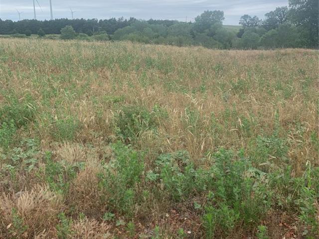 11111 S 59th & Walbaum Rd. Road